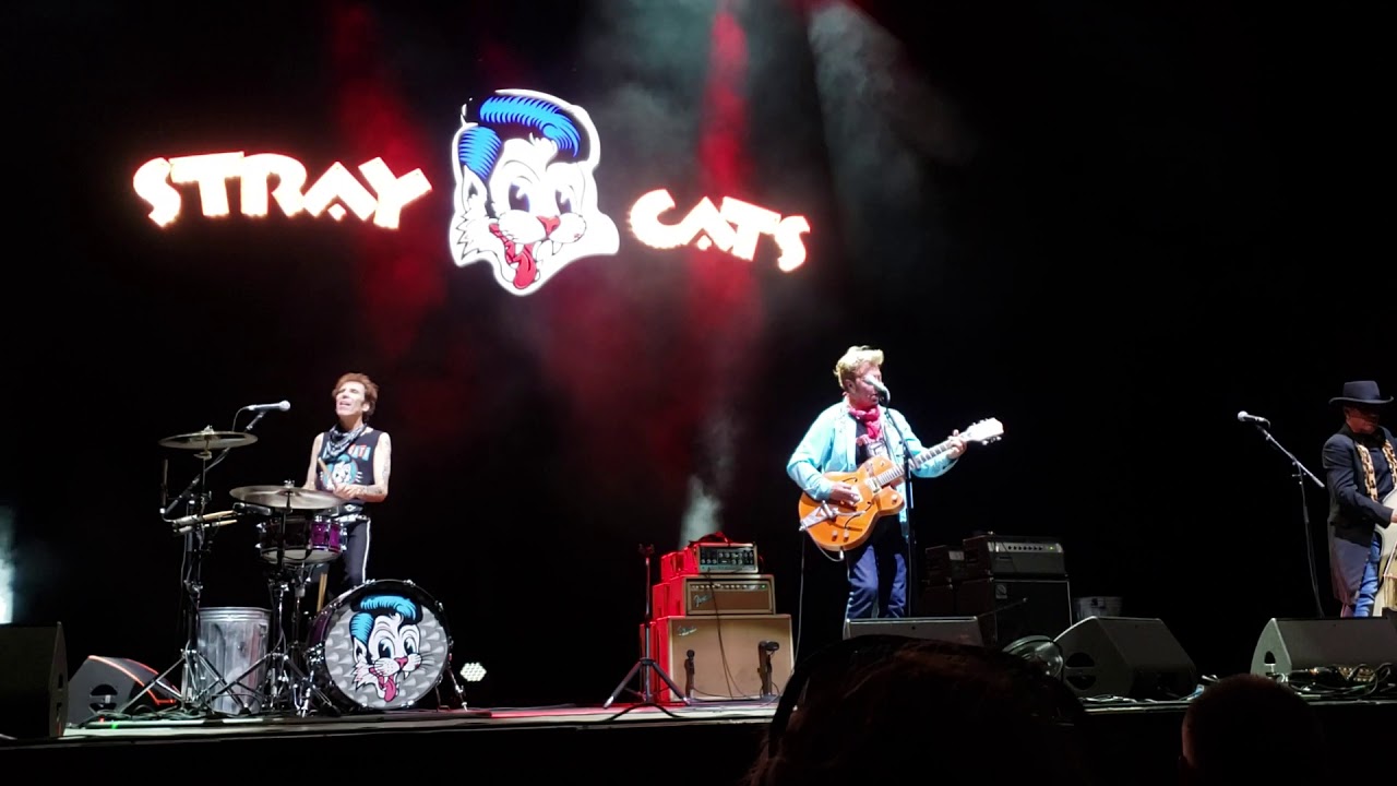 Stray Cats 2019 - Live in Amsterdam - Built for Speed - YouTube