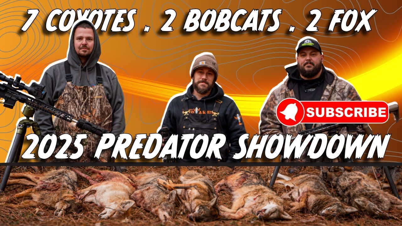 Predator Hunting A Tournament - YouTube