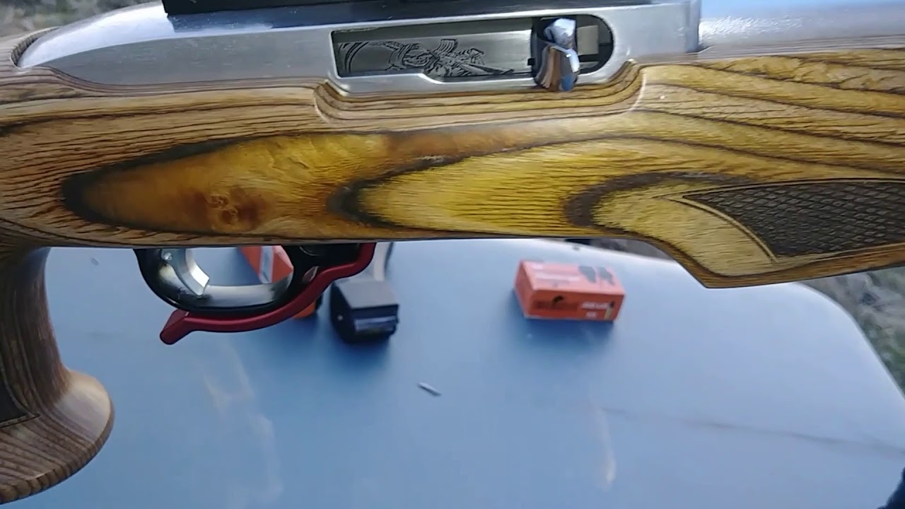 Whistle Pig Barrel Ruger 10/22 mod - YouTube