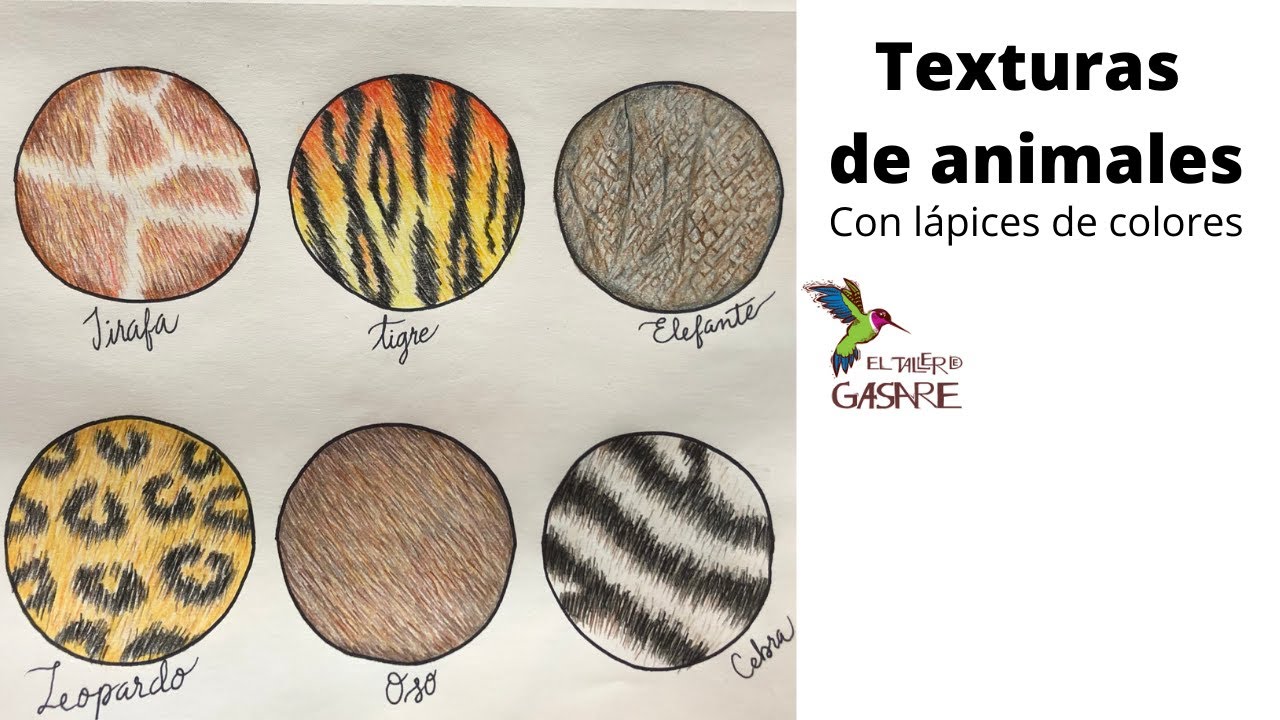 Como dibujar texturas de animales con lápices de colores - YouTube