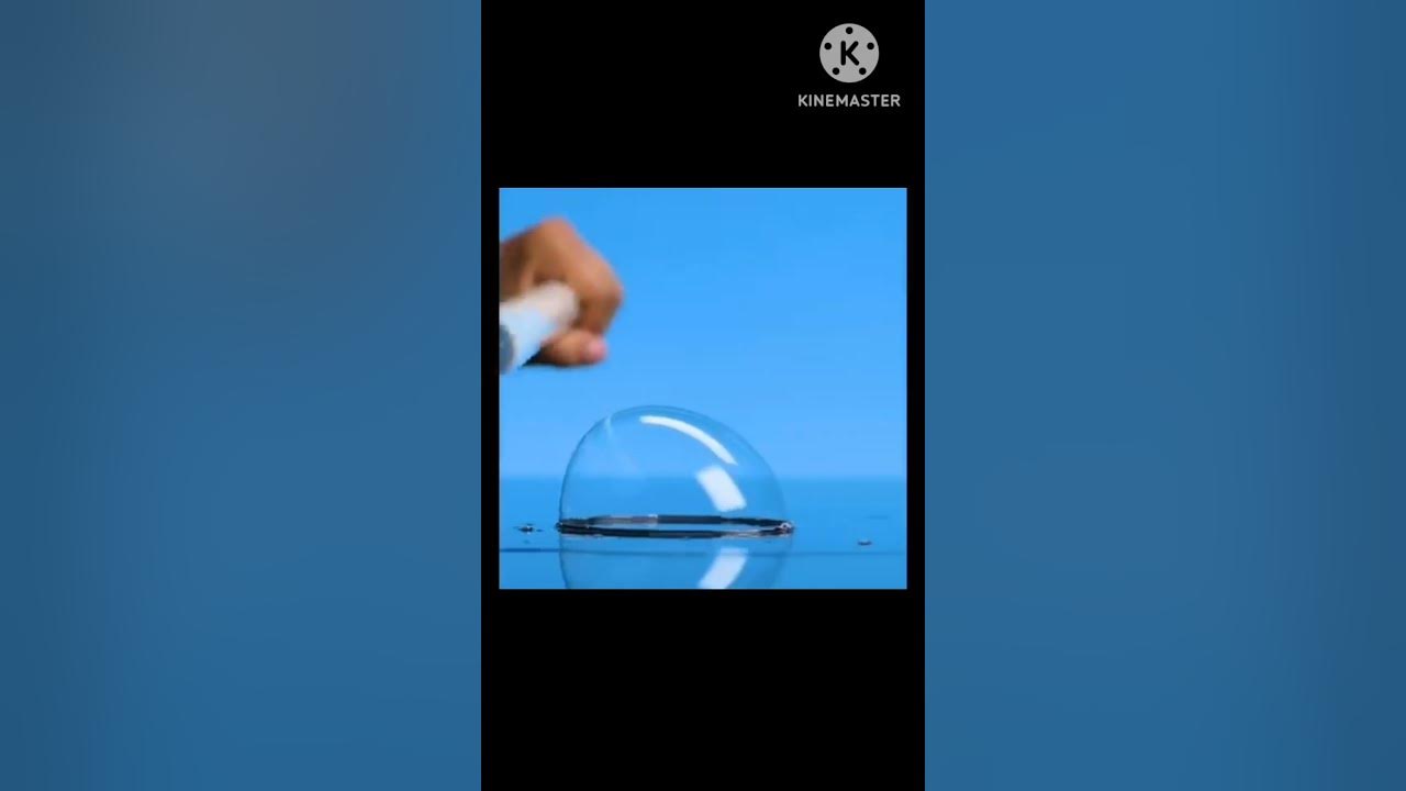 Simple Science Experiment To Do At Home Easy Experiment trending simple-science-experiment-to-do-at-home-easy-experiment-trending