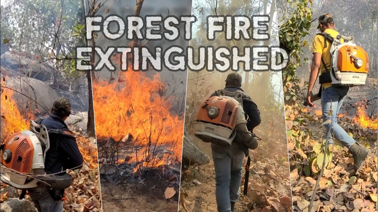 जंगल की आग पर नियंत्रण - Forest fire extinguished by forest team ...