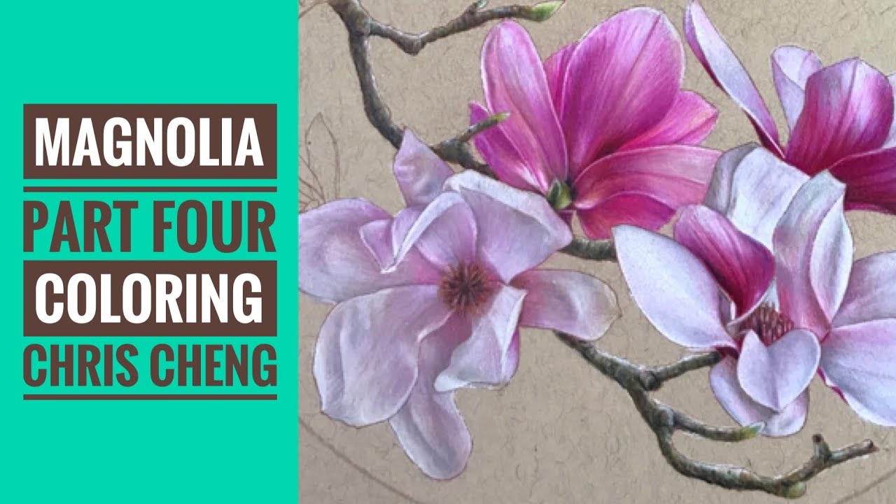 MAGNOLIA - Part 4: Flowers Coloring // Chris Cheng - YouTube