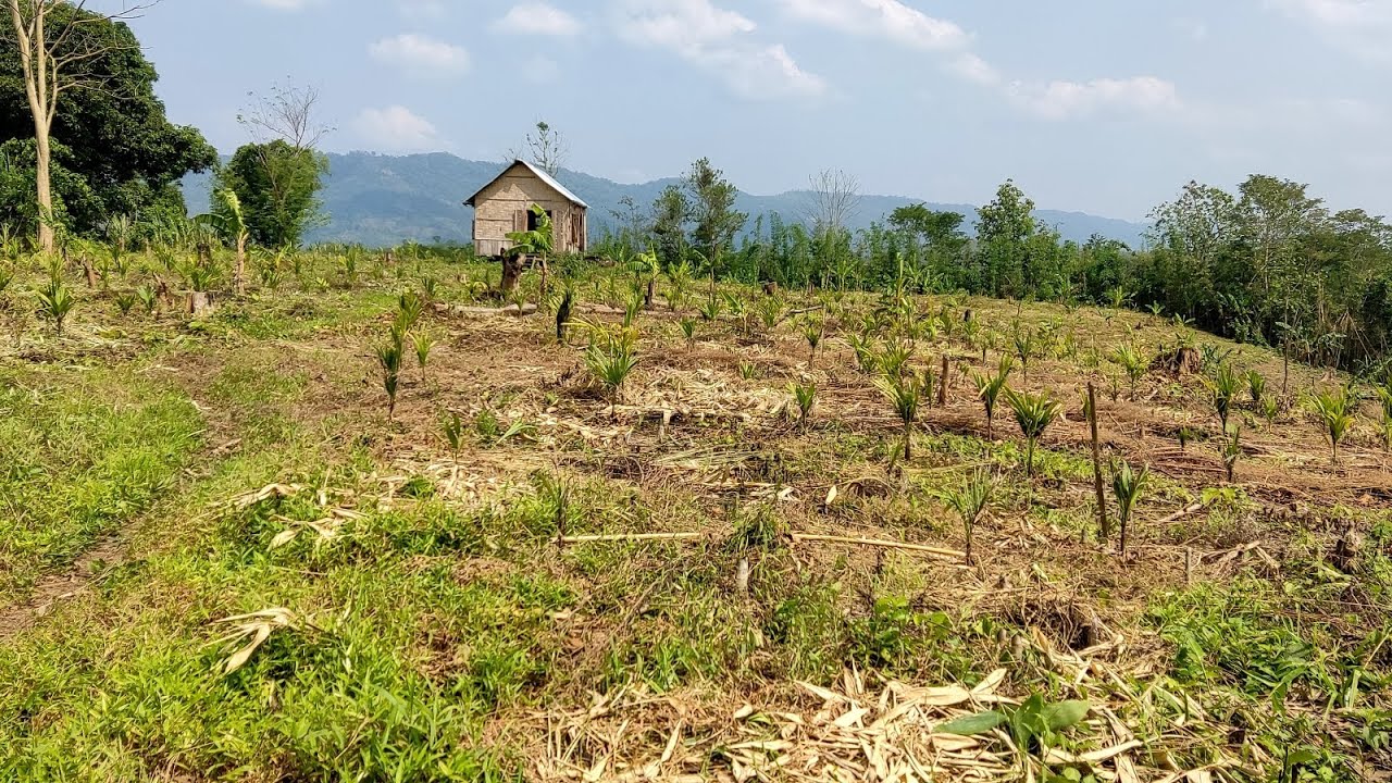 Kuhva huan Sam lai leh a hmun hma. Kum 2023 - YouTube