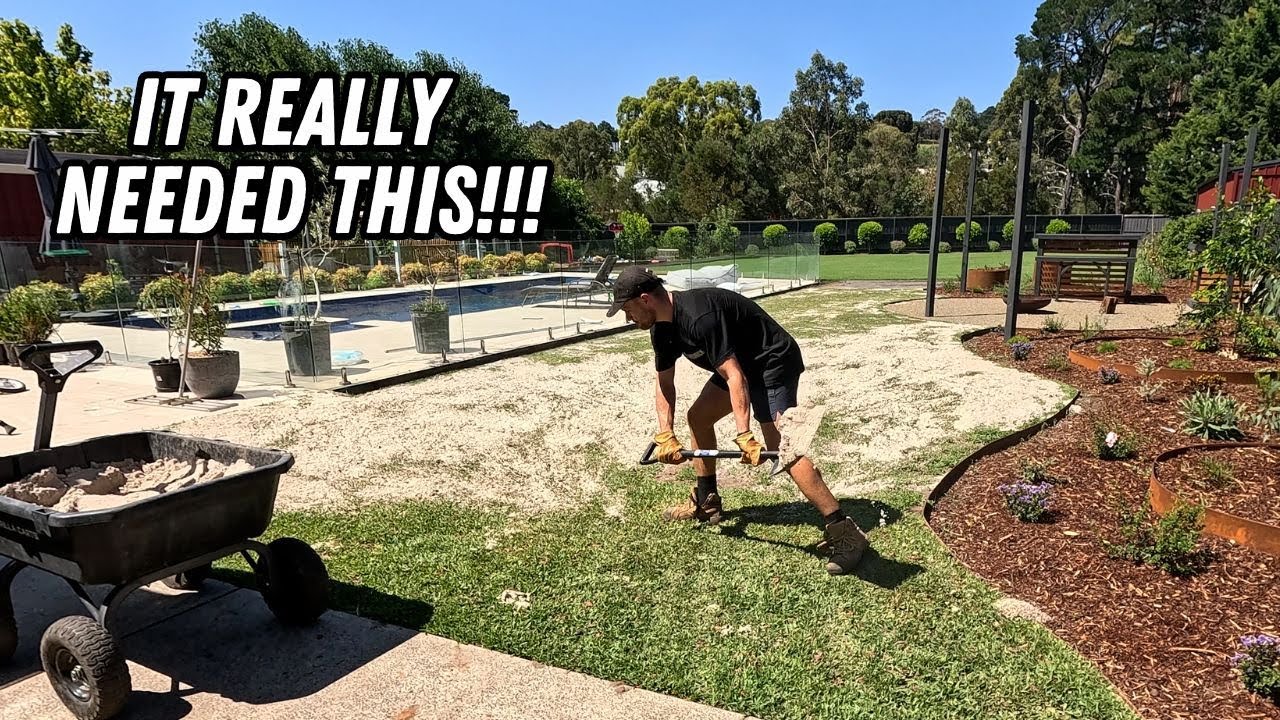 Mini reno on my 6 week old Buffalo lawn???? - YouTube