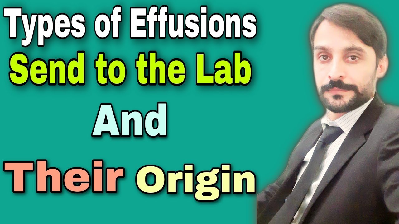 Types of Effusions send to the lab and their Origin - YouTube