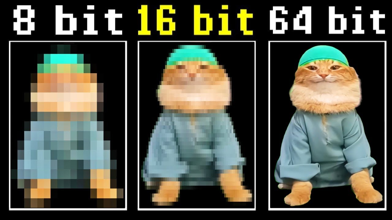 Tob Tobi Tob Tob Muslim Cat, every time with more bits - YouTube