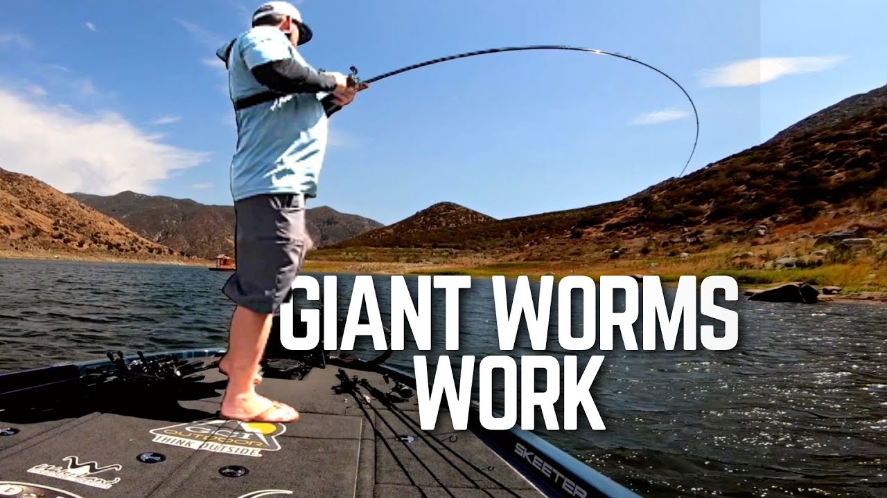 Afternoon Bass Devour Giant Worms - 6th Sense Fishing Ridge Worm - YouTube