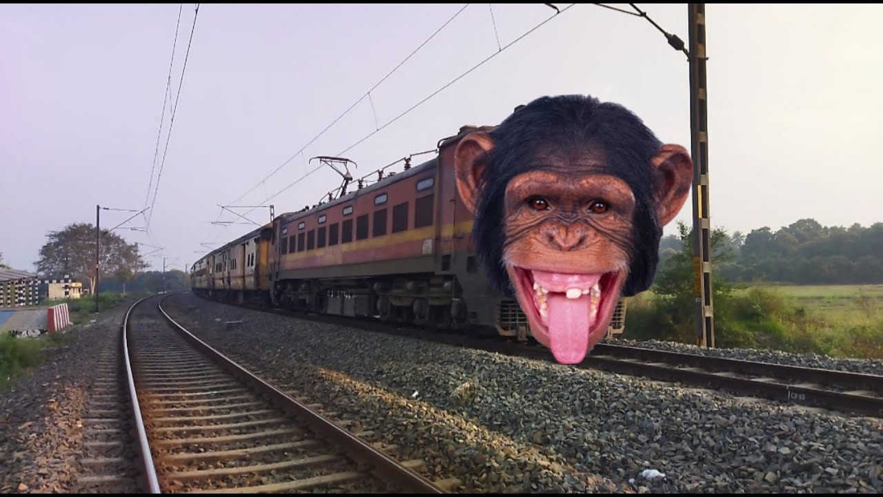 Dangerous Chimpanzee Headed Intercity Express Furious Moving Throughout ...