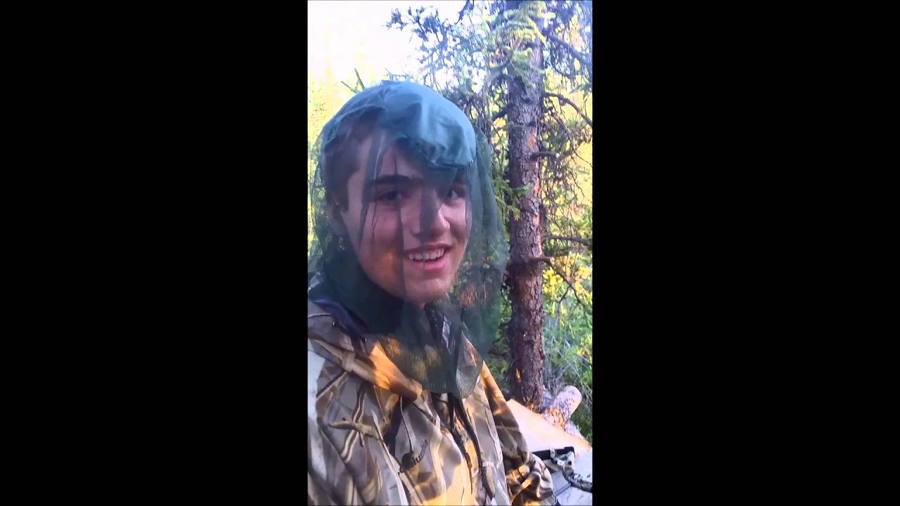 Branson Lee hunting Alaska black bear. - YouTube