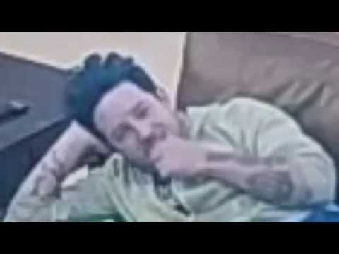 Boneclinks and Scuffed Bam Margera being weird compilation - YouTube