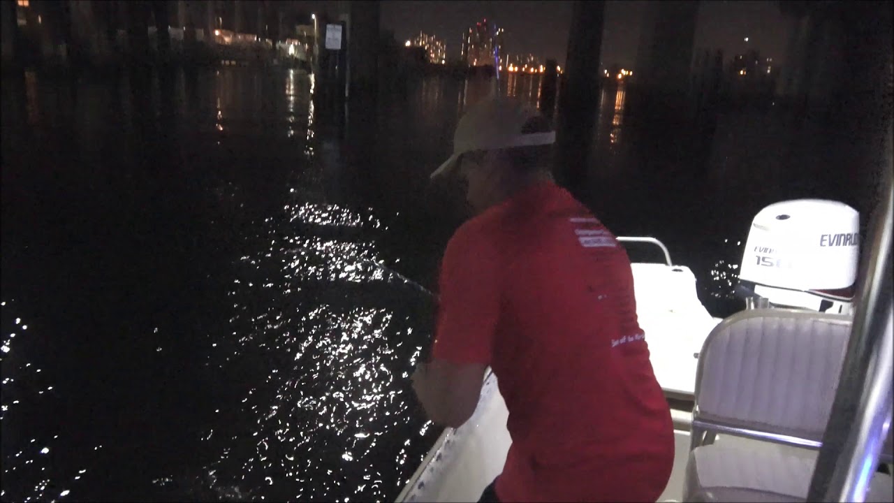 Clam Chumming for Long Island Striped Bass & Bluefish - YouTube