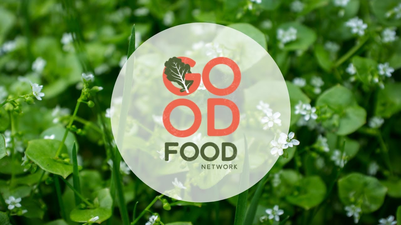 What is the Good Food Network? - YouTube