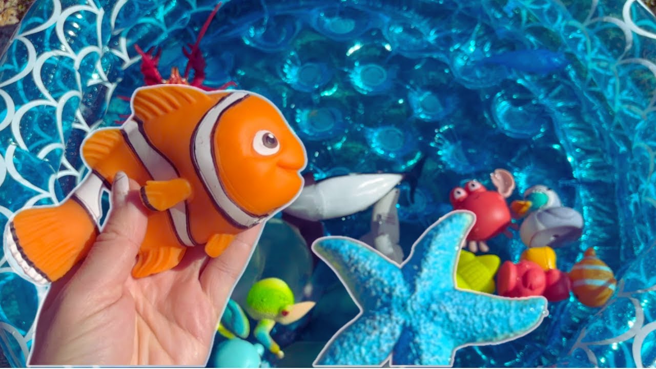 Amazing Sea Animals at the Pool! Discover Whales, Sharks, and Octopuses ...