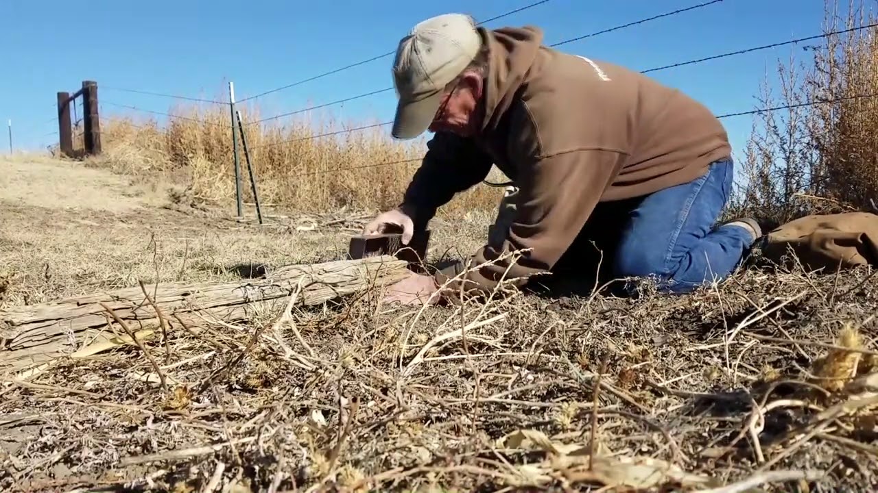 Setting Up and New Trap Line - YouTube