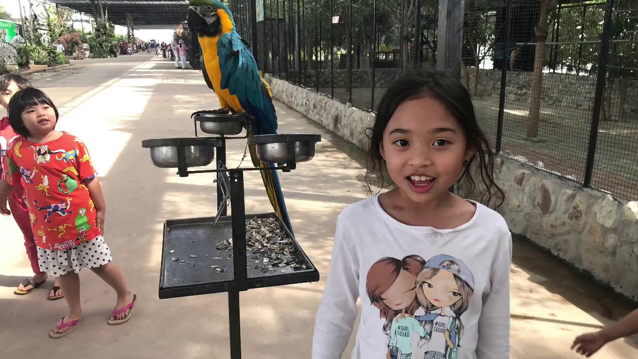 SkyLand 7NG resort - travel around Cambodia - YouTube