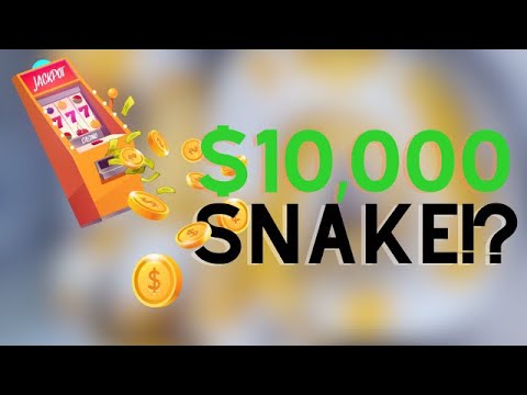 Unboxing one of our most expensive snakes ever! - YouTube