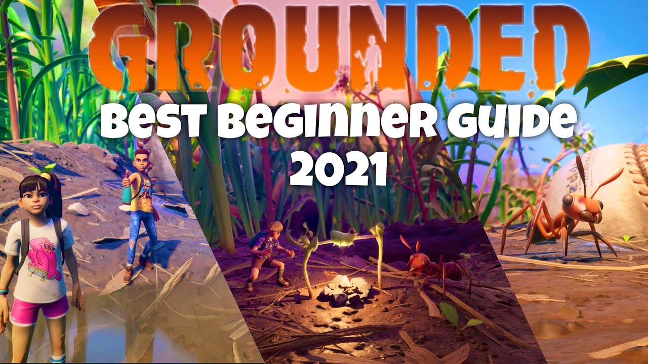 The Best Beginners Guide For Grounded - Tips And Tricks To Get You Of To The Best Start 2021 ...