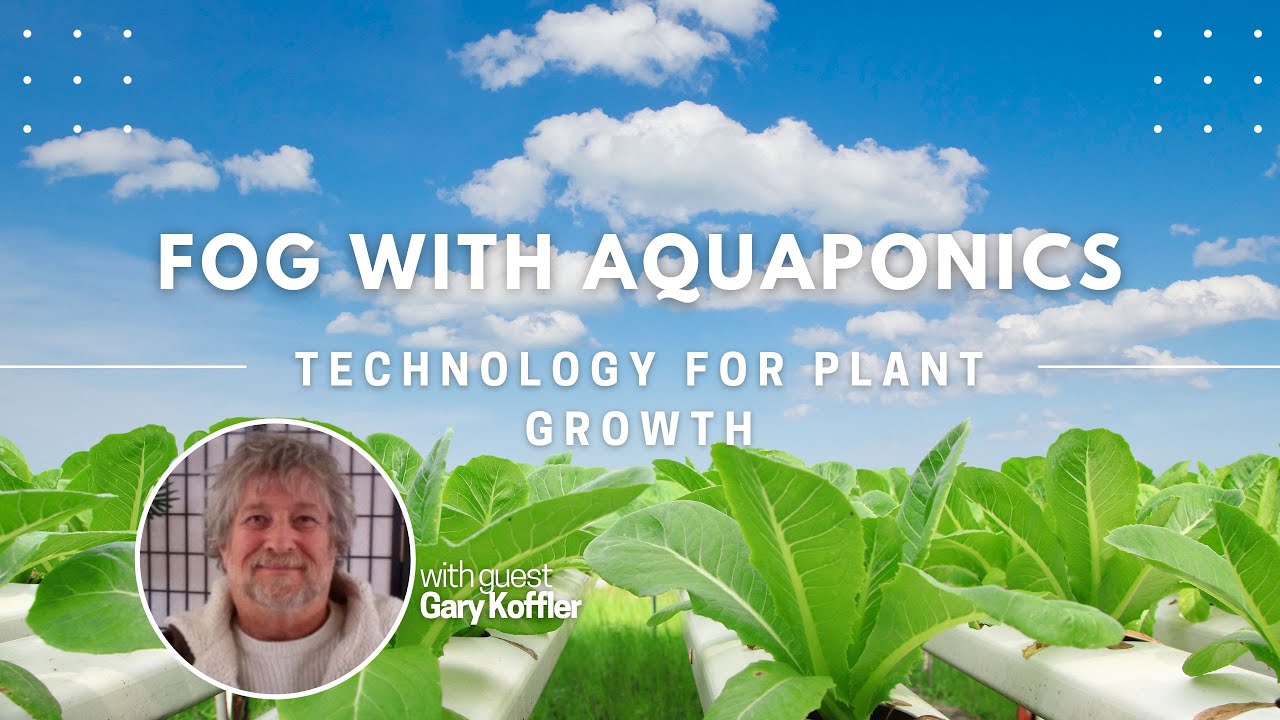 How to Grow Vegetables and Fruits with Fog - YouTube