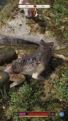 This Is Sparta (KCD2 - Wolf Edition) | #outright_k on #Twitch - YouTube