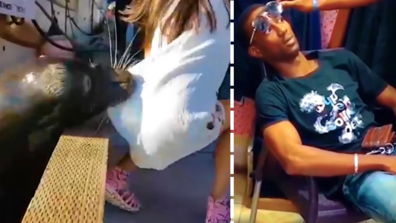 SALAM ALAIKUM meme compilation | tiktok SALAM ALAIKUM memes - YouTube