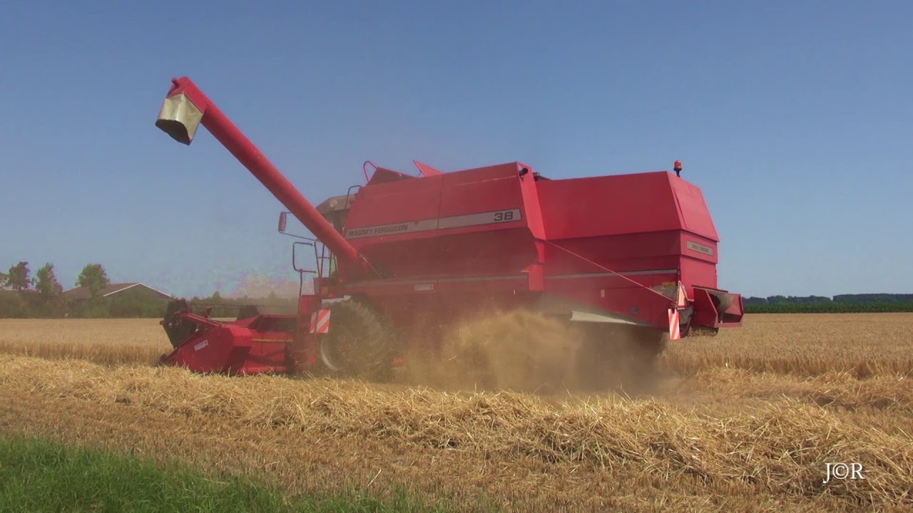Zomergerst combinen bij Frenk Claassen door Felix en Jurgen de Bekker met de Massey-Ferguson 38 ...