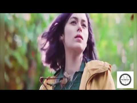 The Birch - Best Scenes