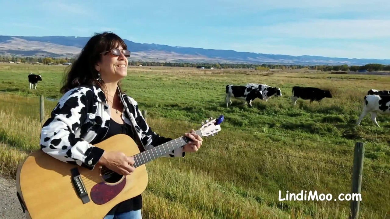 LindiMoo Herds Cows with Moosic (Music) Part 2 - YouTube