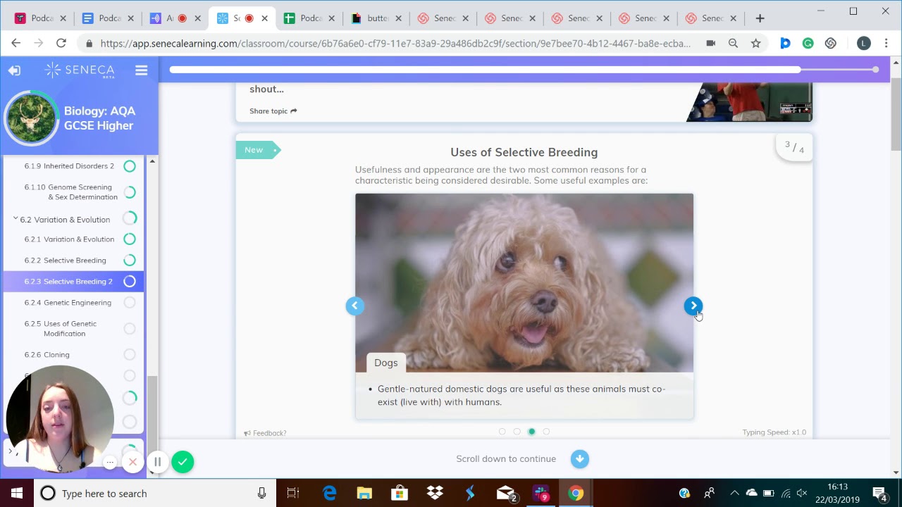 GCSE Biology - Selective Breeding Uses & Dangers - Seneca - Learn 2x ...