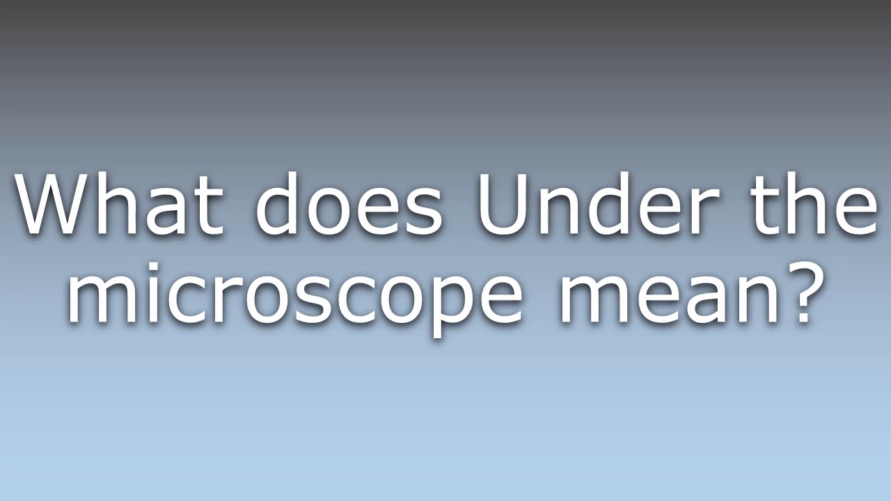 What Does Under The Microscope Mean YouTube what-does-under-the-microscope-mean-youtube