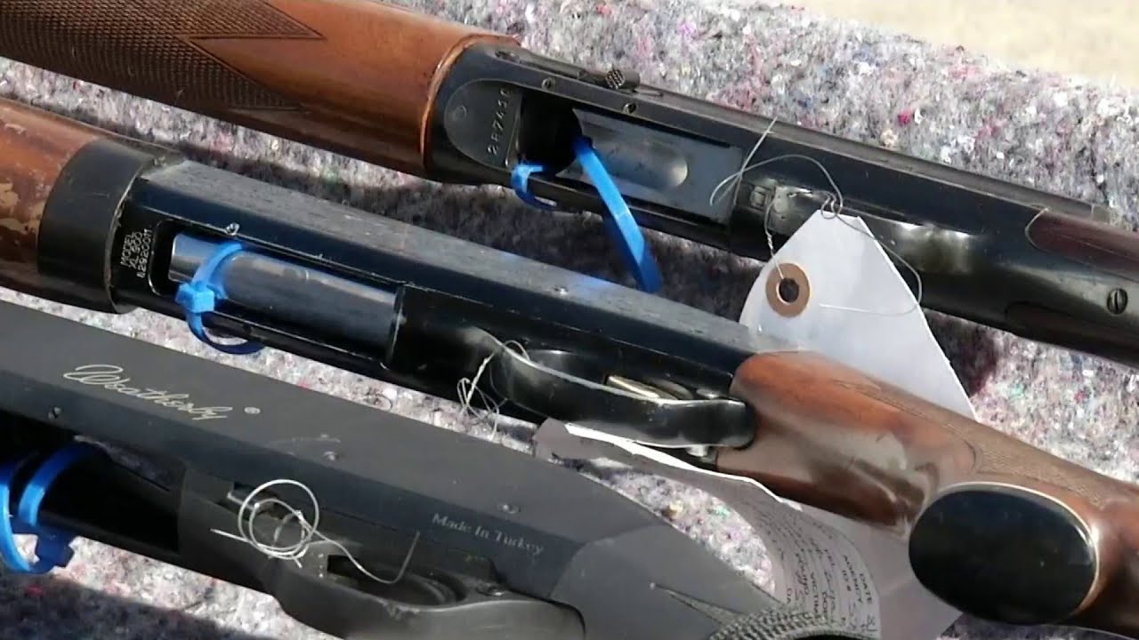 Risk protection order has seized 1,000+ guns in Florida - YouTube