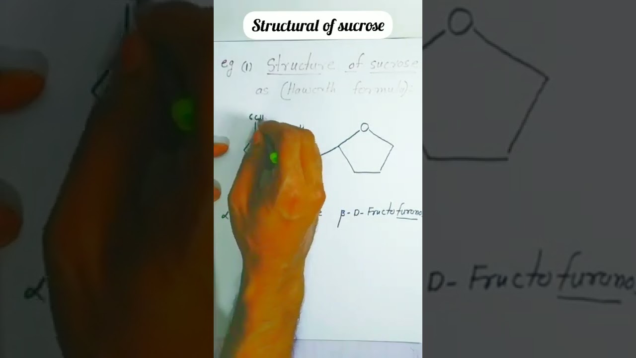 Haworth projection formula of sucrose - YouTube