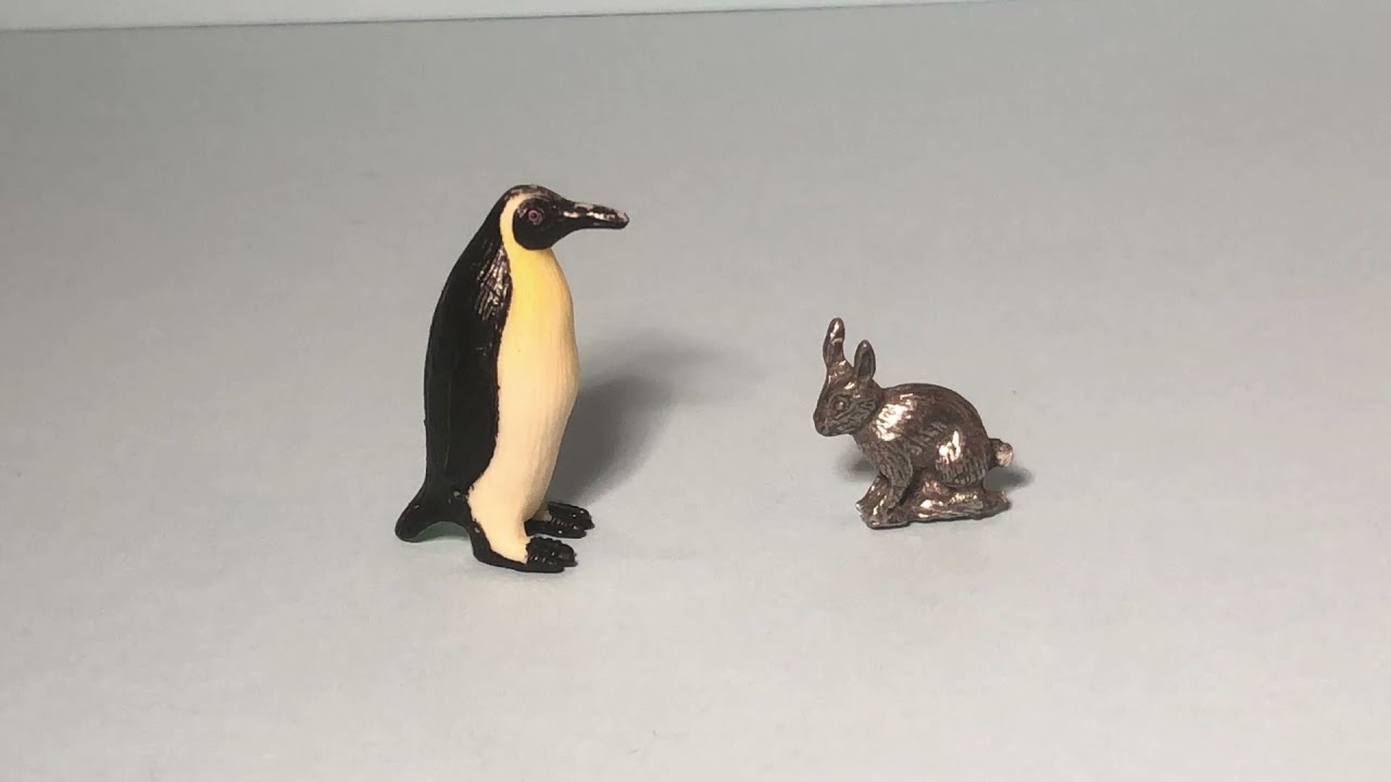 A Penguin And A Rabbit - YouTube