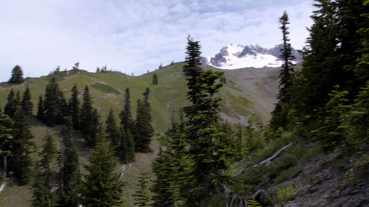 Hiking At and Around Timberline - YouTube