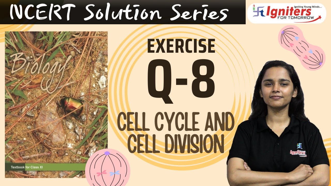 Exercise Q.8 - Cell cycle and cell division | Class 11 | NCERT Solution ...
