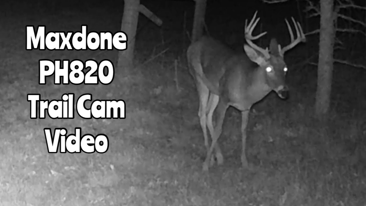Maxdone PH820 Trail Cam Video Dec. 4-9, 2022 - YouTube