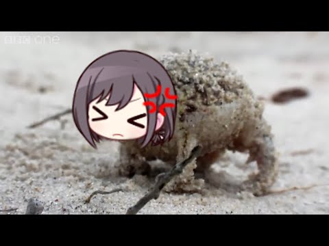 A very angry Ena - YouTube