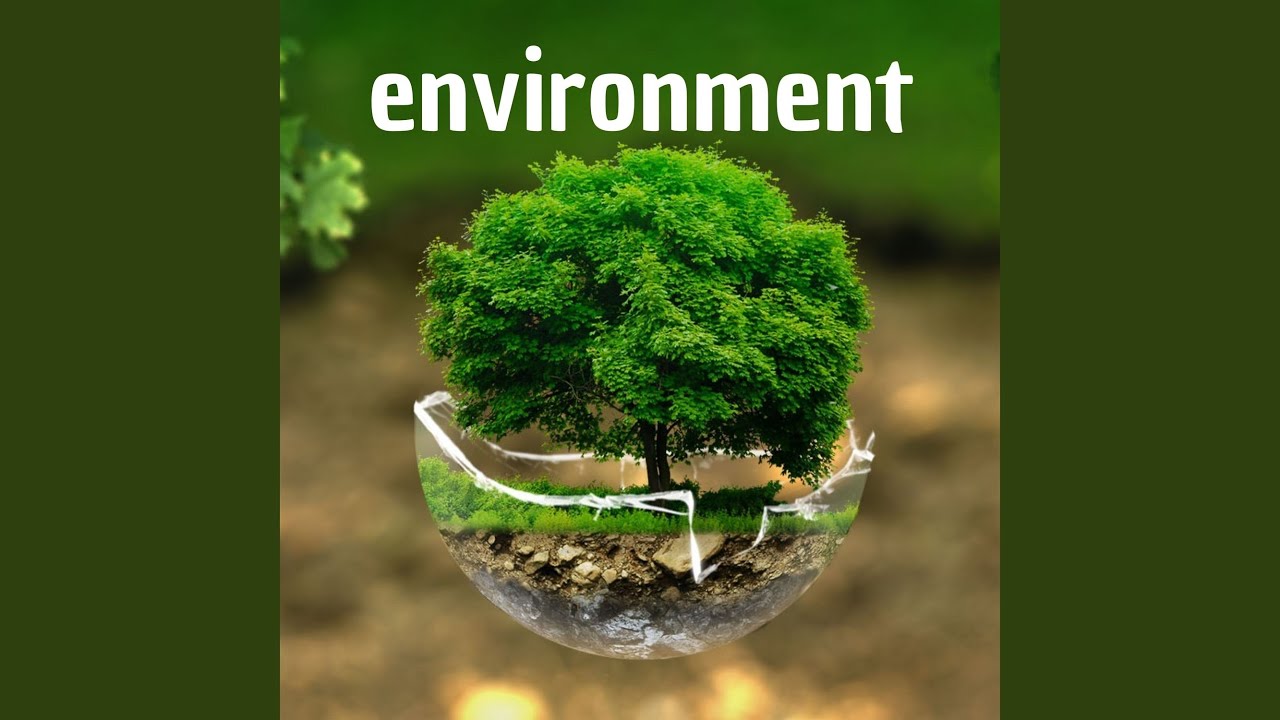 Environment - YouTube