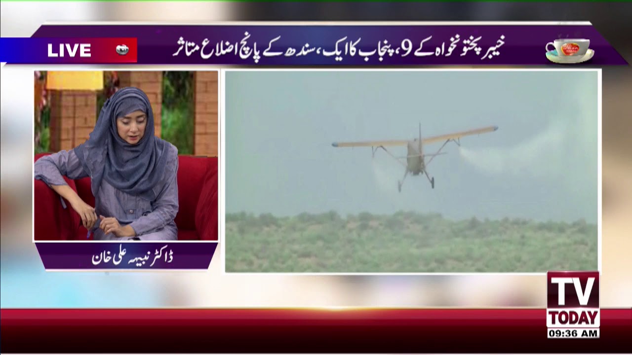 Attacks on 44 districts of Locust Heart, including 29 districts of ...