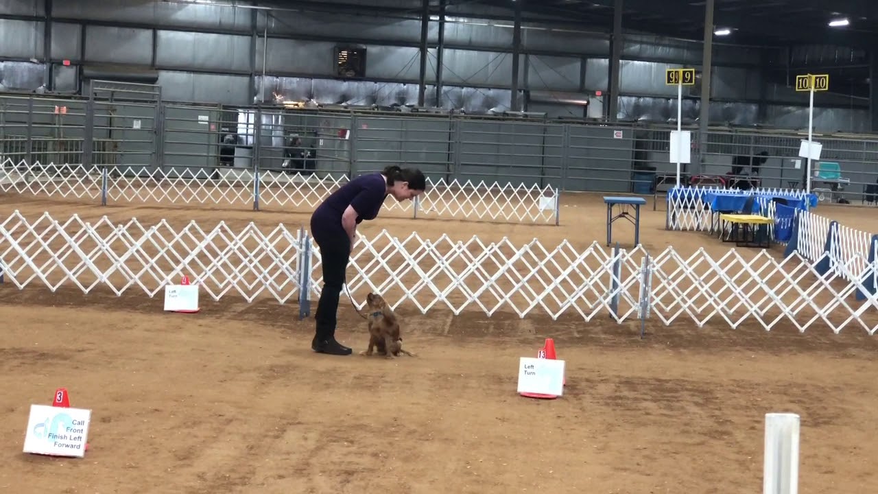 Fancy Glen Rose 010519 NovA Q71 - YouTube