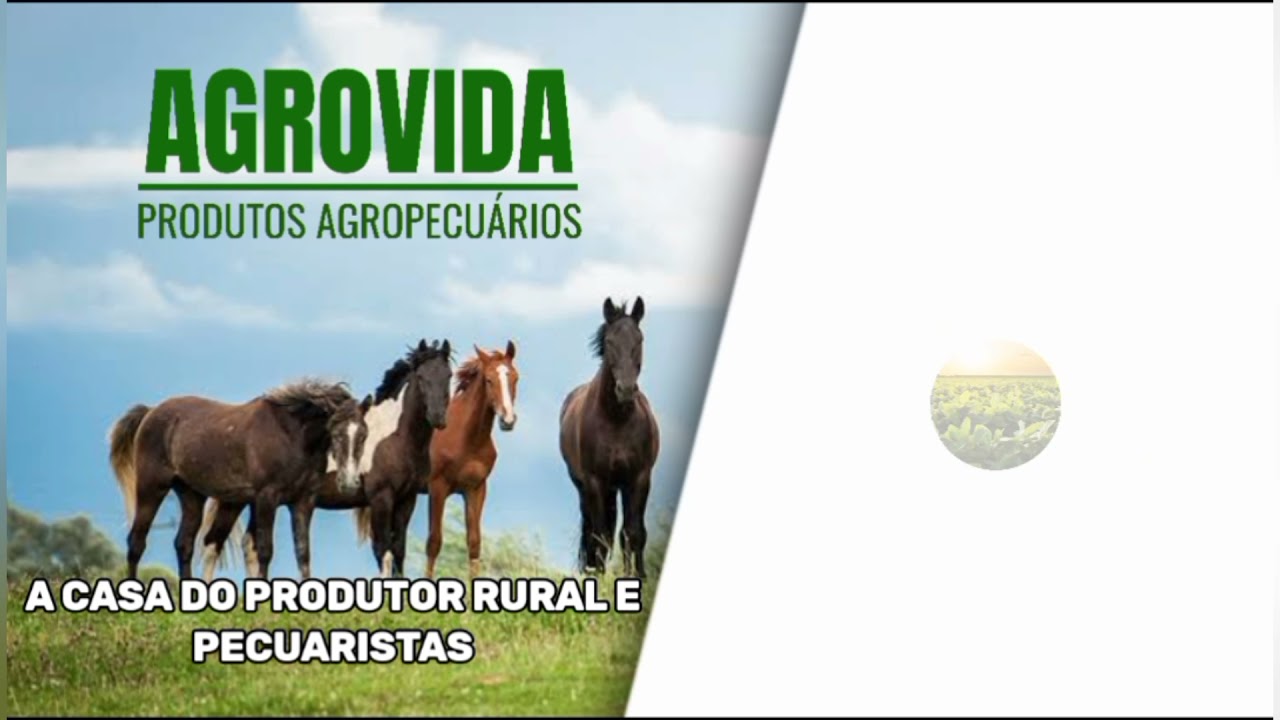 Agrovida Produtos Agropecuários - YouTube