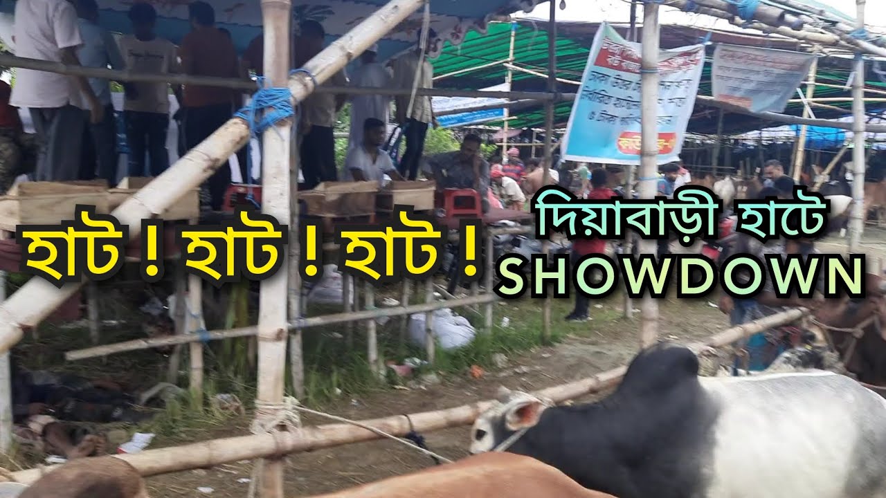 Uttara Diyabari Haat | Qurbani Eid 2023 Festivity | দিয়াবাড়ী হাট ...