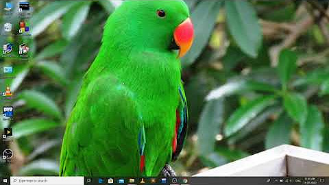 Setting up Sublime Text For Competitive Programming - YouTube