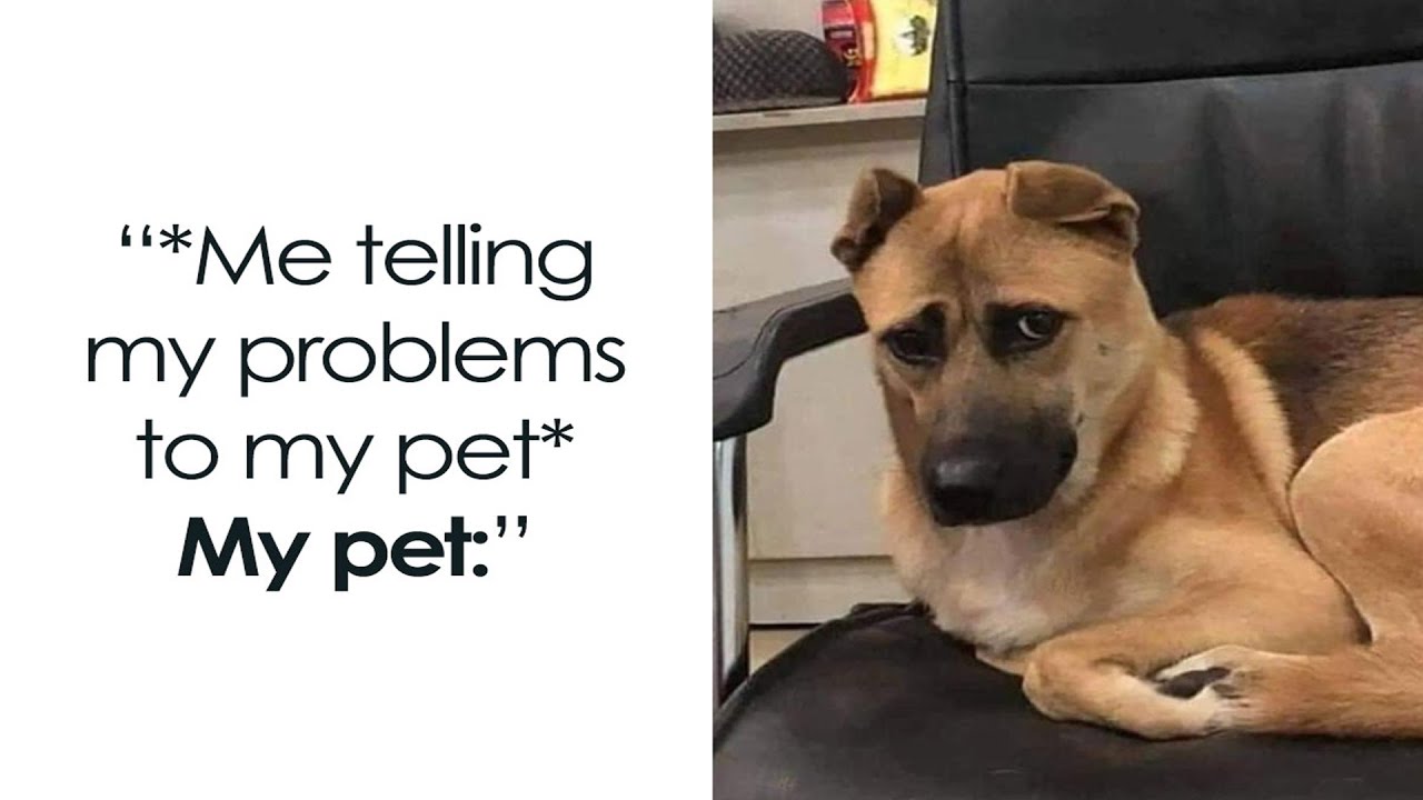 People Are Cracking Up At Memes Almost All Of Us Can Relate To - YouTube