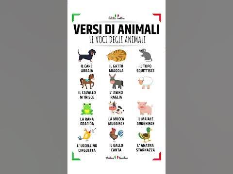 🇮🇹Italian Words - Animal sounds - I versi degli animali - Intermediate ...