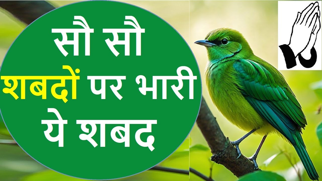 non stop shabad| 100 shabadon par bhari ye shabad | radha swami shabad ...