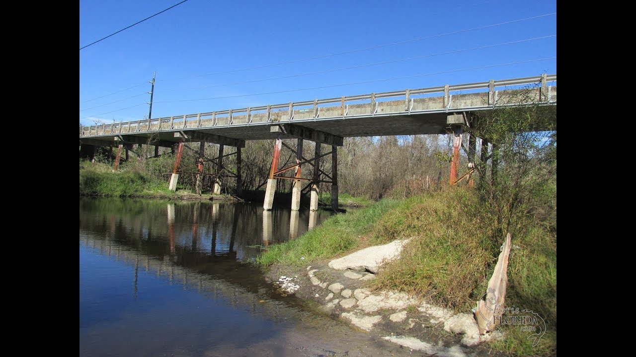 iTF 148: Freaky Florida: Edition 2 - YouTube