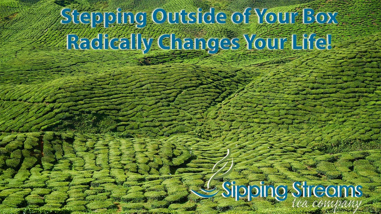 Stepping outside of your box radically changes your life! - YouTube