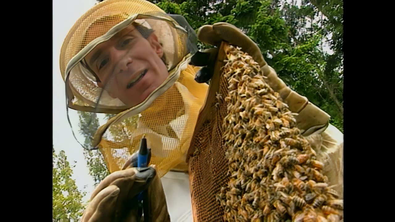 Bill Nye The Science Guy - S02E11 - Insects - Best Quality - 4K ...