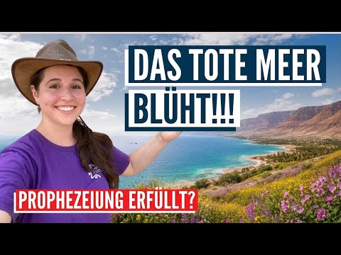 Die Wüste blüht in Israel! Israel mit Aline